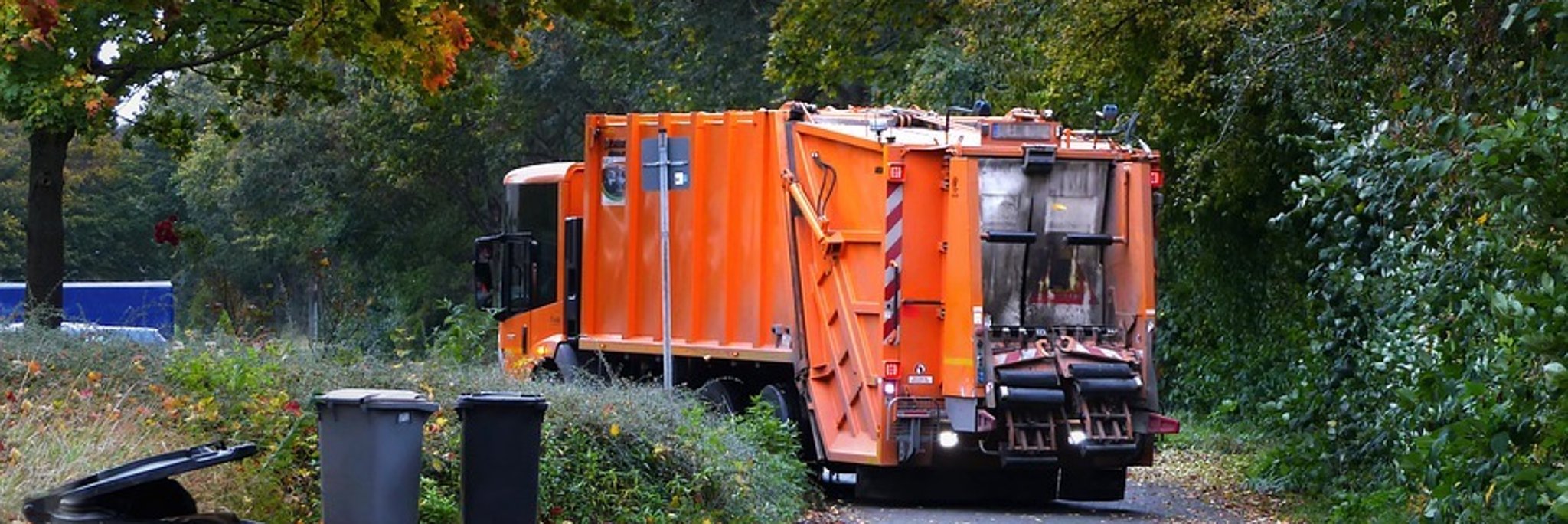 Abfallentsorgung | Höchst i. Odw. - Website